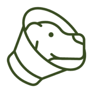 Best Vet Hospital In Parker, CO | Hess Ridge Animal Hospital