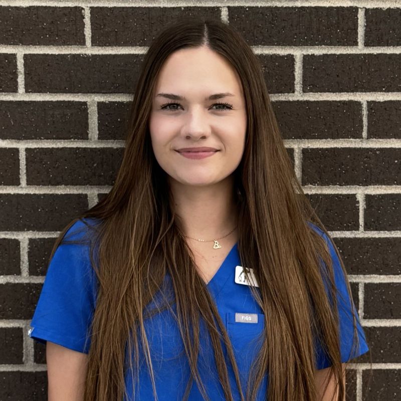 Veterinarian In Parker, CO 80134 | Hess Ridge Animal Hospital